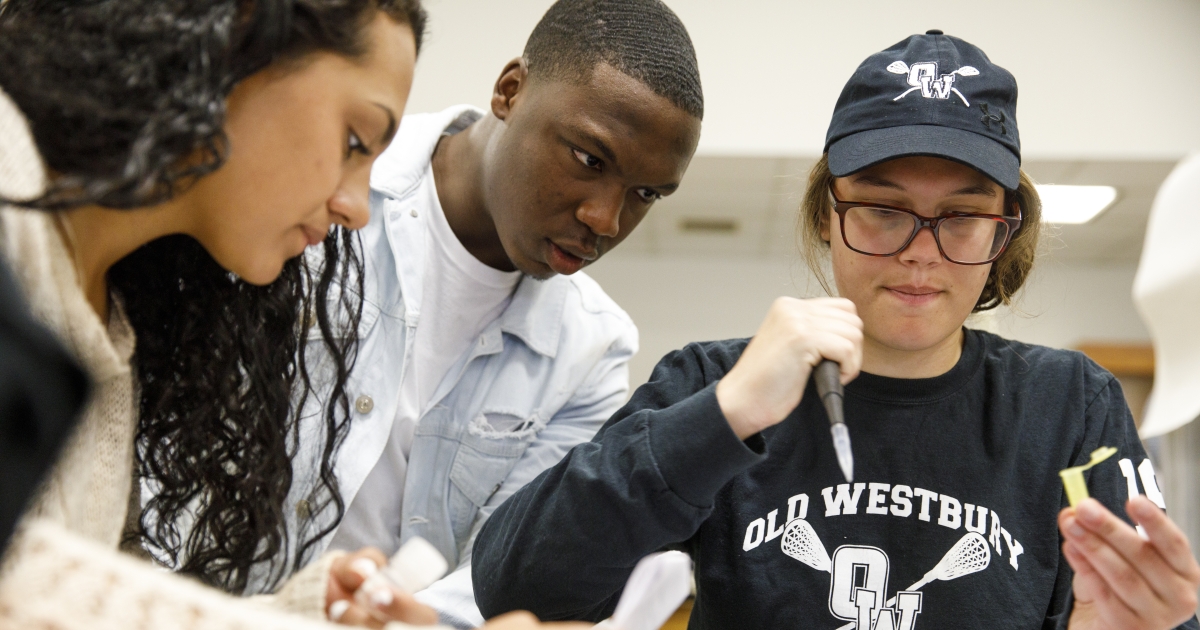 OW STEAM PROGRAM | SUNY Old Westbury