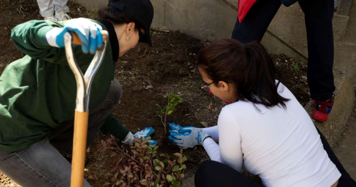 2024 Arbor Day Celebration | SUNY Old Westbury
