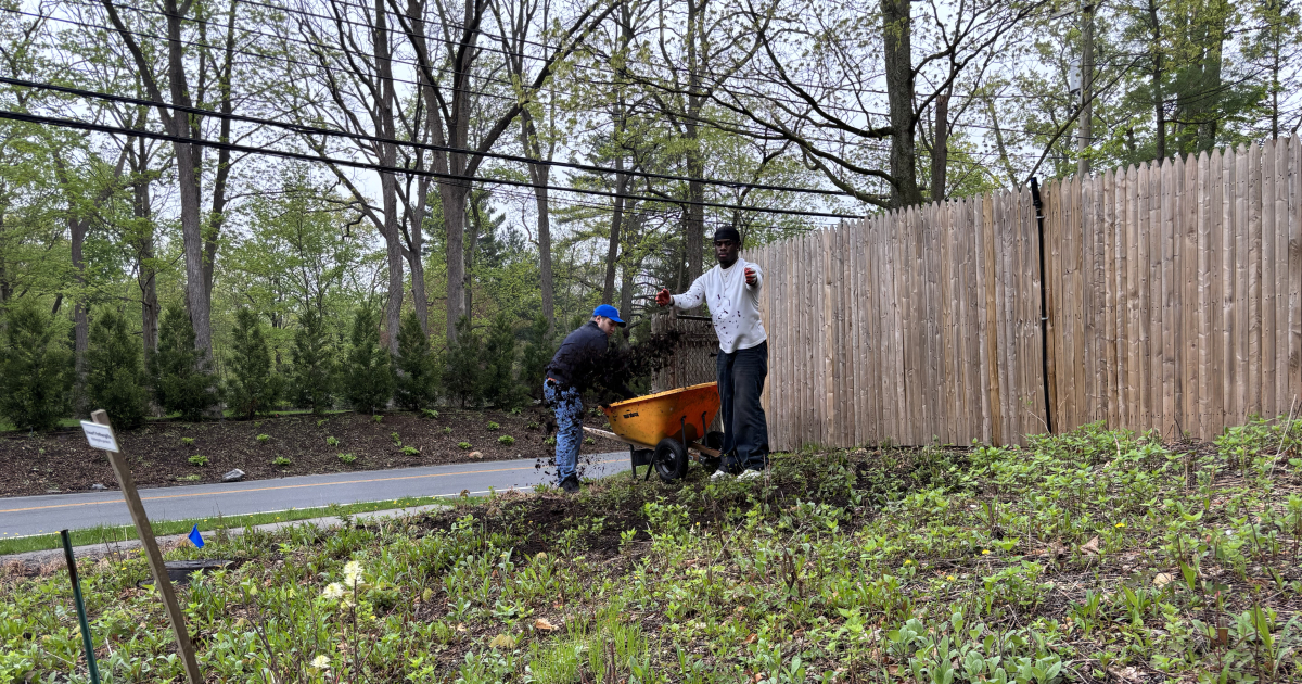 Empire State Service Corps | SUNY Old Westbury